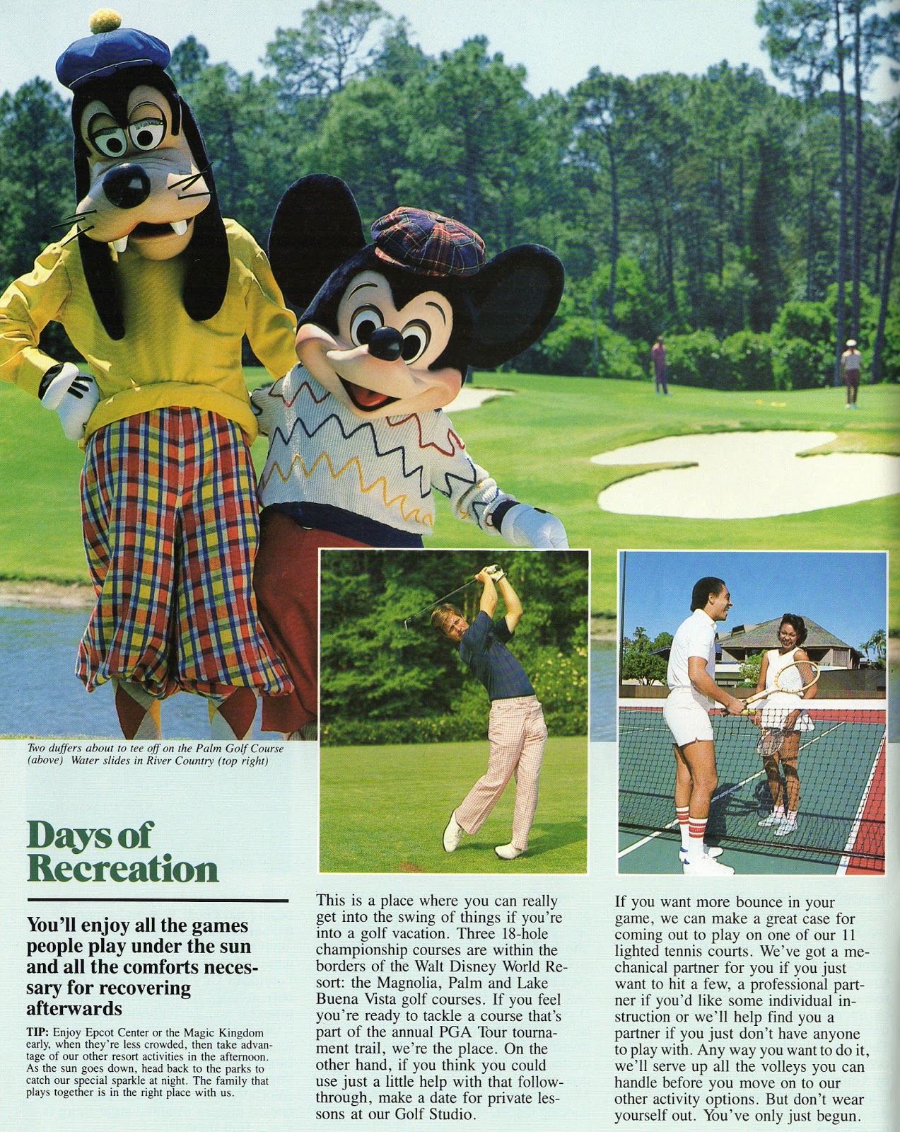 Disney Avenue: Walt Disney World's 1986 Resort Offerings