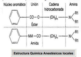 TÉCNICAS DE ANESTESIA Y EXODONCIA.