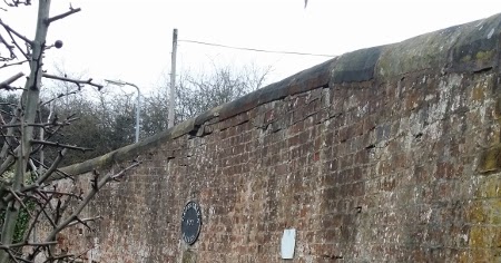 Lucy's Wednesday walks: Coven to Gailey - a Staffs and Worcs canal walk