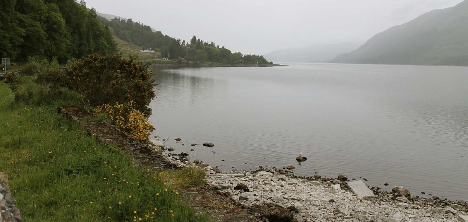 Beneath Blue Suburban Skies: June 2013