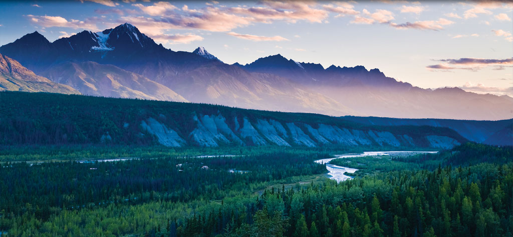 ALEXANDER SUPERTRAMP (LA HISTORIA DE CHRIS McCANDLESS)