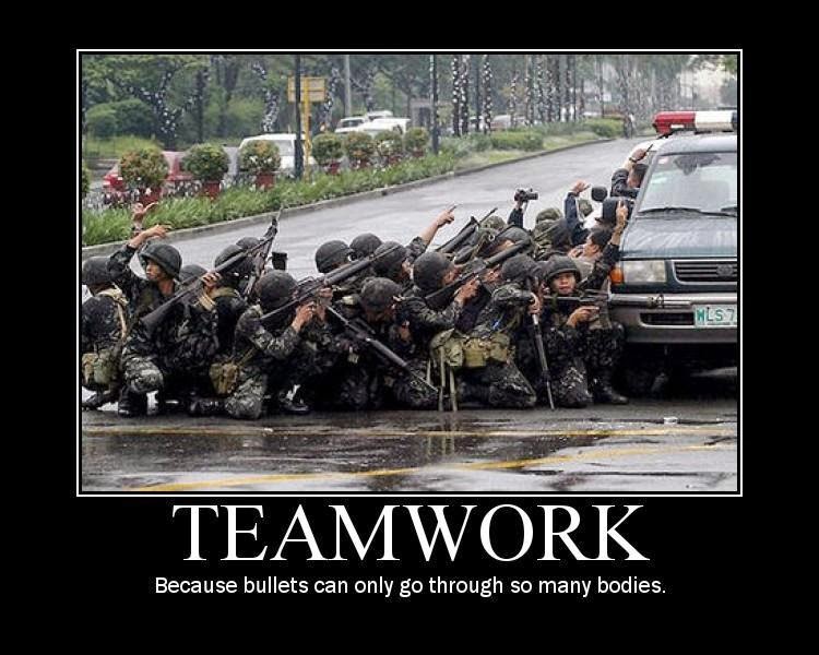 World Wildness Web: Teamwork meme