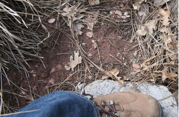 Bigfoot Week: Bigfoot Anatomy - Foot Theory