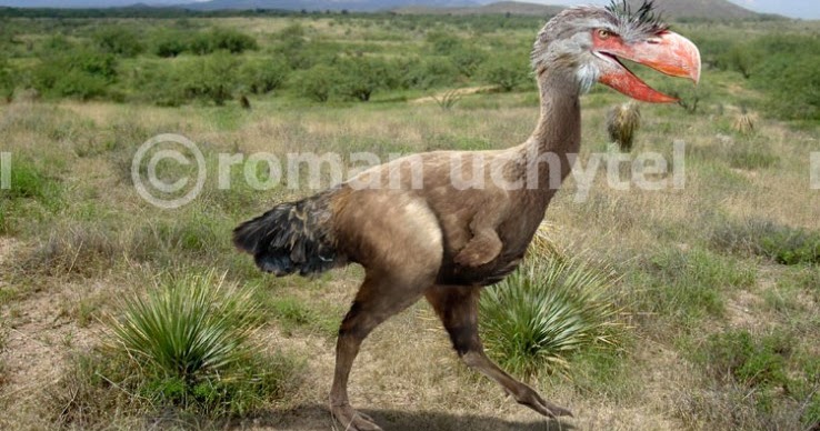 Escenarios prehistóricos: Paraphysornis