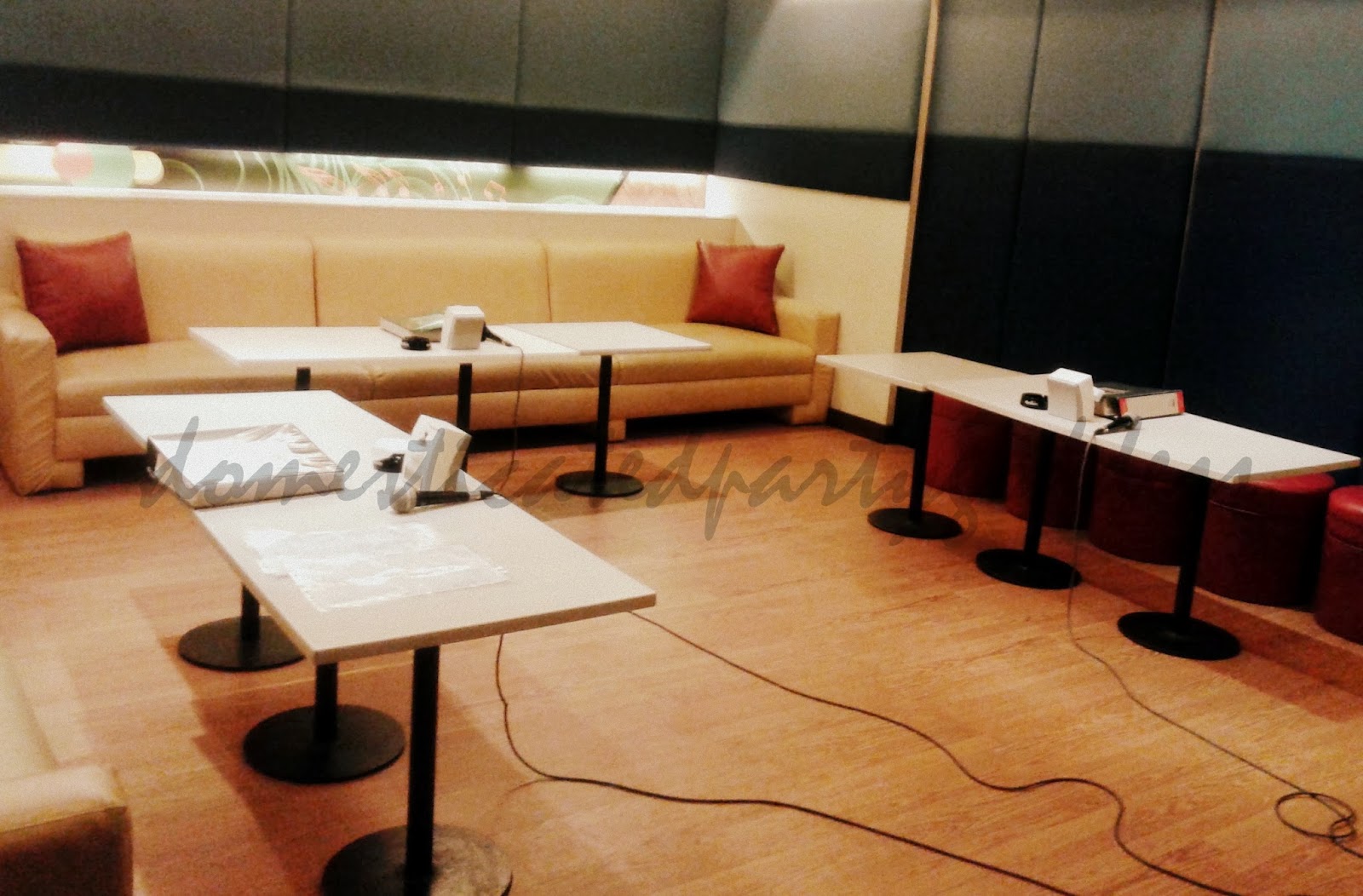 Domesticated Party Goddess: A Diva Party at Music Match KTV