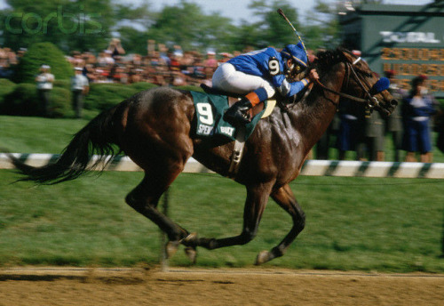 Keep Turning Left!: Spend A Buck- Pure Speed!