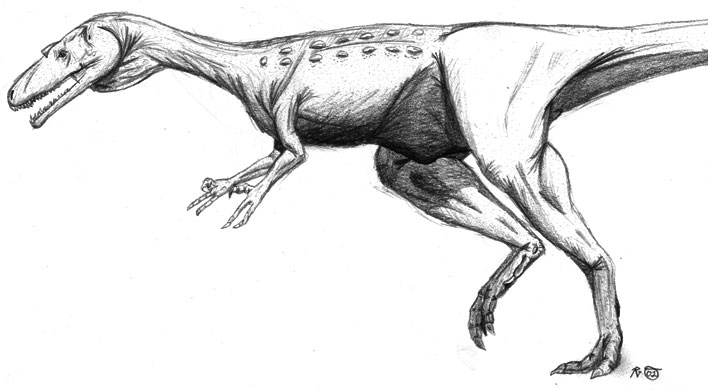 Los animales en la prehistoria: Animales prehistóricos con la letra K