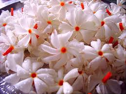 Nine Nights of the Goddess: South Indian Traditions 1 - Panchami