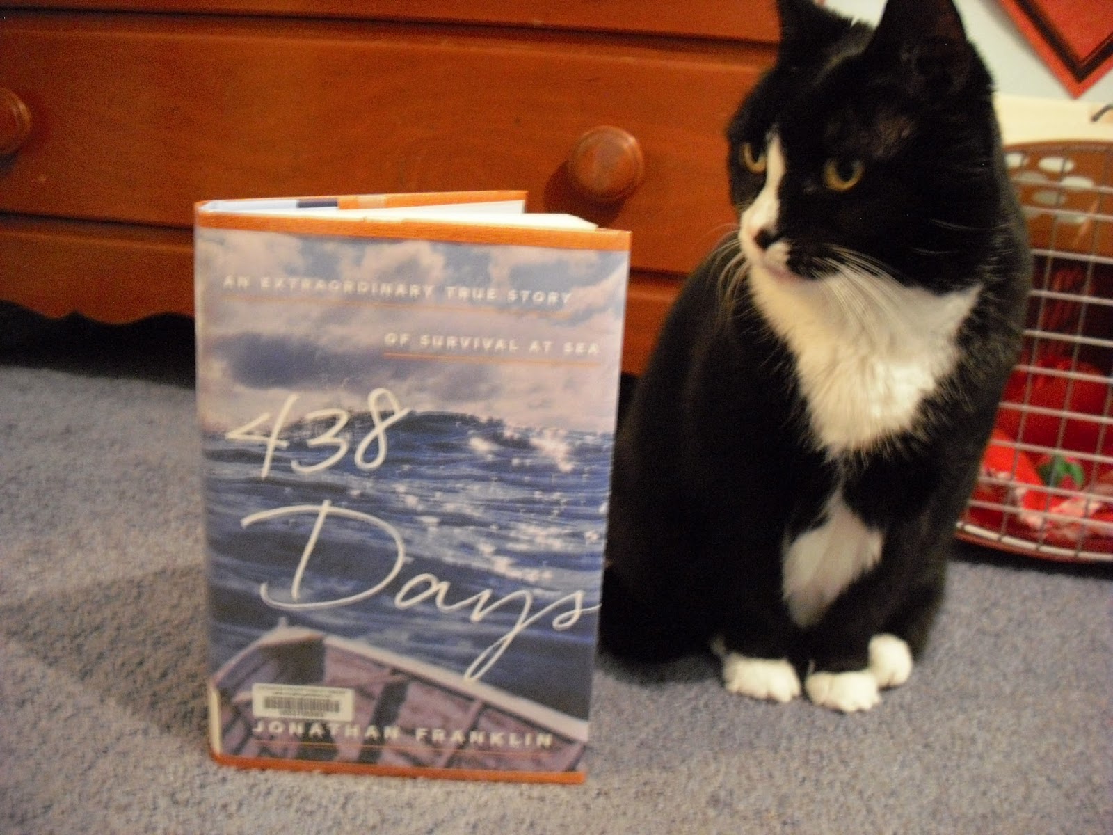 Grab A Book From Our Stack: "438 Days" by Jonathan Franklin--Really ...