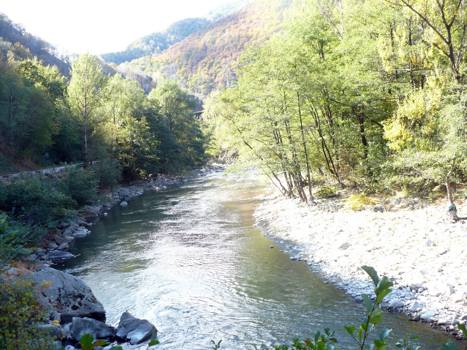 Ucenicie literară: PARCUL NAŢIONAL DEFILEUL JIULUI