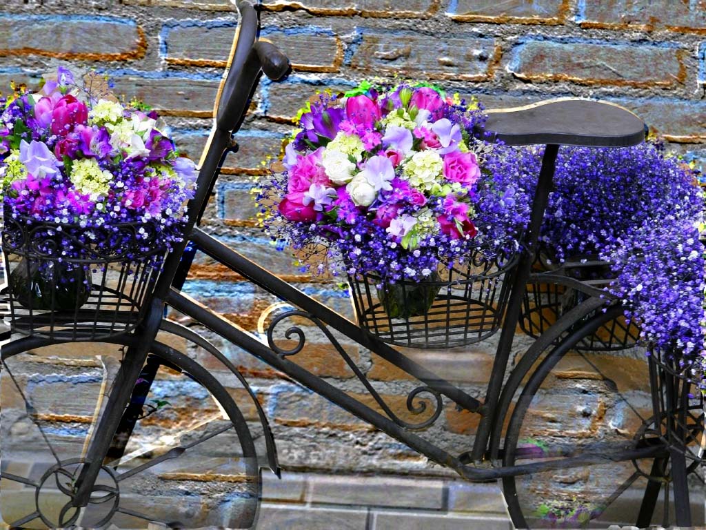Top 22 Bicycle Amazing Wallpapers In HD
