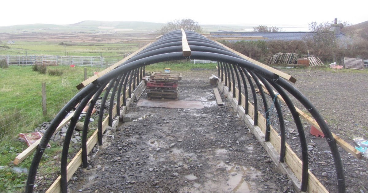 Us in Orkney: Polycrub Part3 : purlin'd