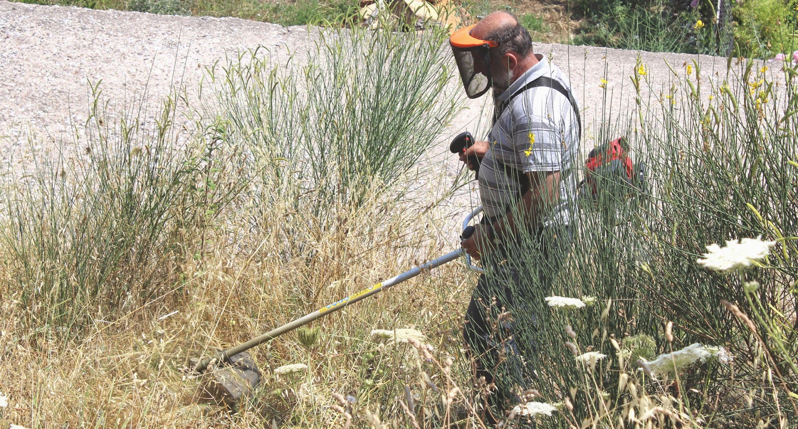 Άγιος Νεκτάριος Κρέντης. Άγραφα | Ευρυτανία | Καρπενήσι: Η ΚΑΘΑΡΙΟΤΗΤΑ ...