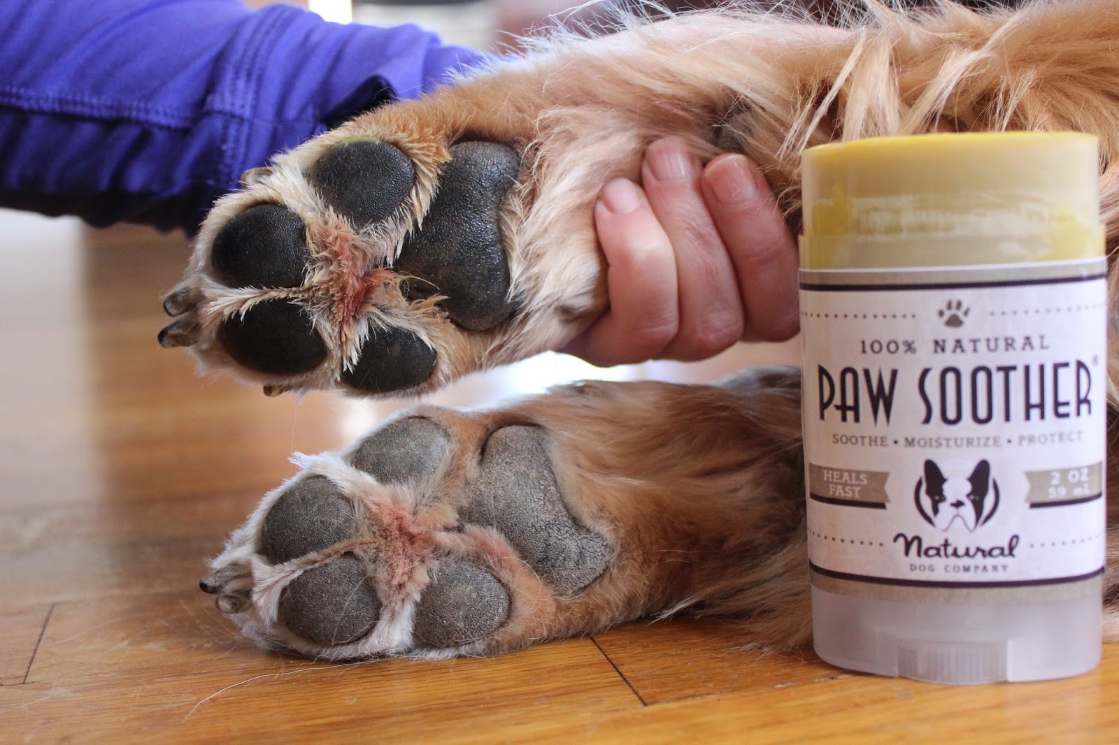 Natural Dog Company Paw Soother Pawtector Review