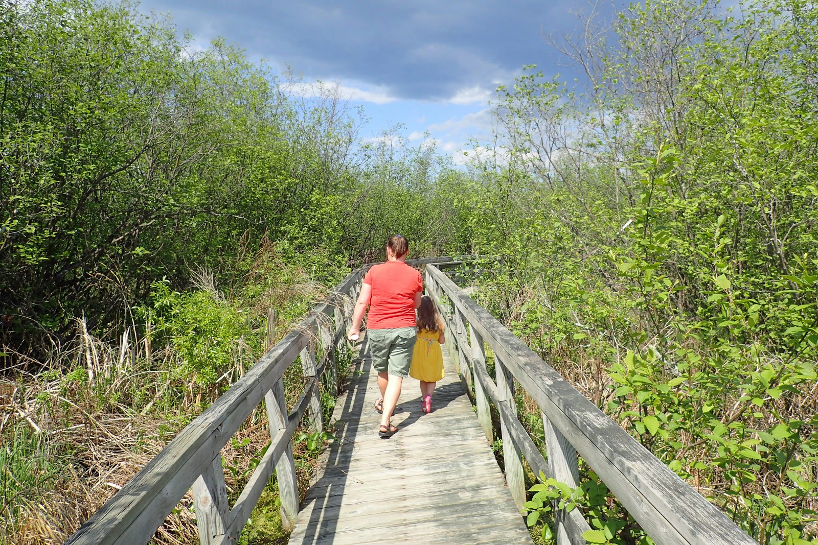 The Continuing Adventures of Eric, Noelle and Sierra: Orr Bog Walk