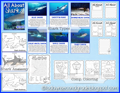 Shark Attack! - Today in Second Grade