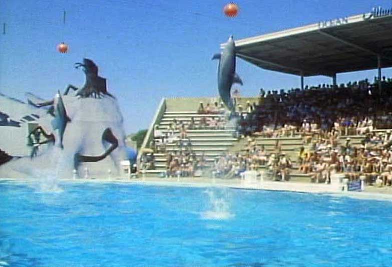 Mielenkiintoinen maailma: Atlantis Marine Park