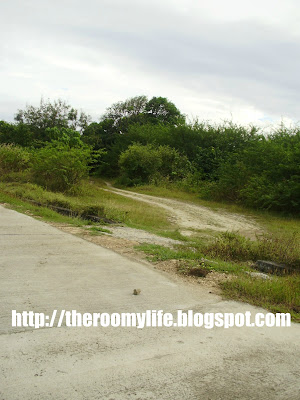 The Roomy Life: Batangas travel: Calatagan Lighthouse