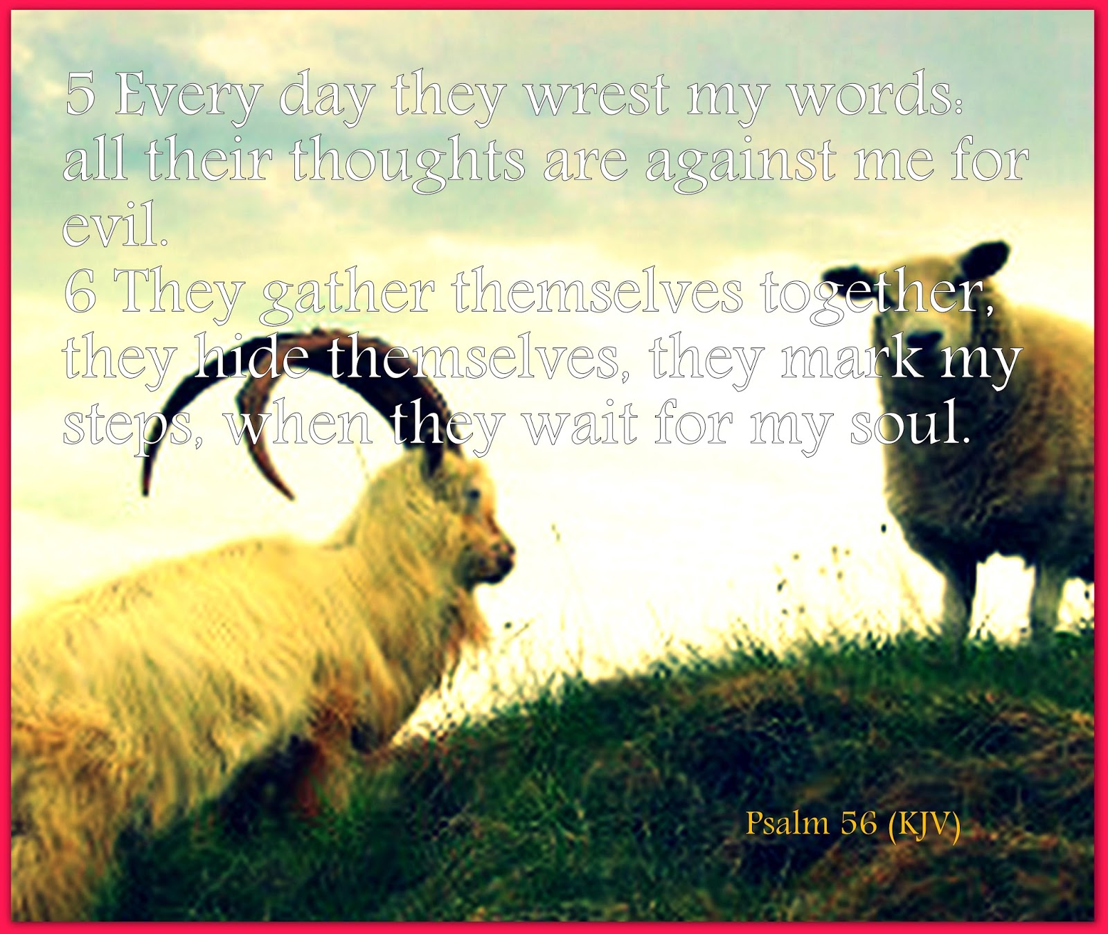 Red Pill Diaries: Psalm 56 (KJV)