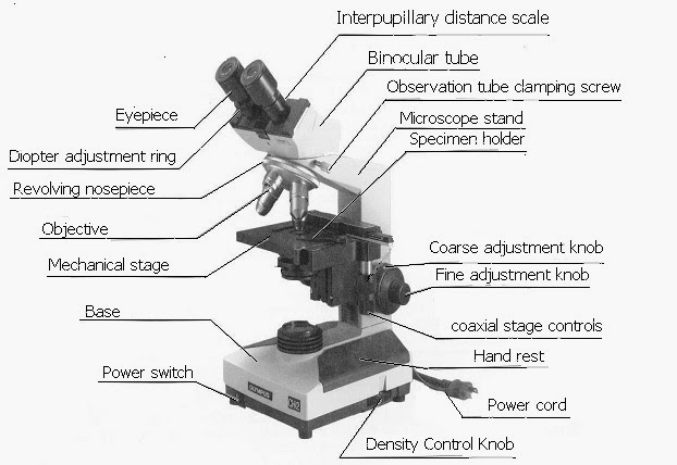 Sejarah Mikroskop dan Macam Macam Mikroskop
