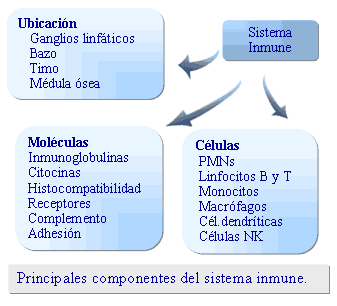 Biología 600c: UNIDAD III: INTRODUCCIÓN A LA INMUNOLOGÍA