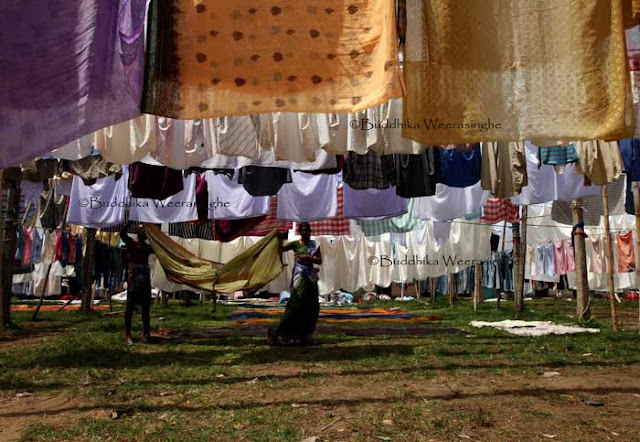 Sri Lanka : Sri Lanka's largest Laundry Run