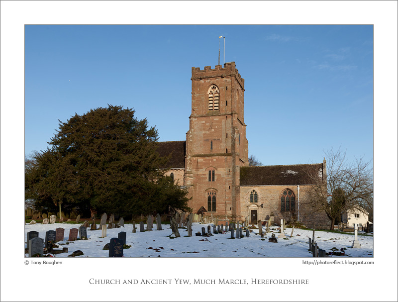 PhotoReflect: The Much Marcle yew tree