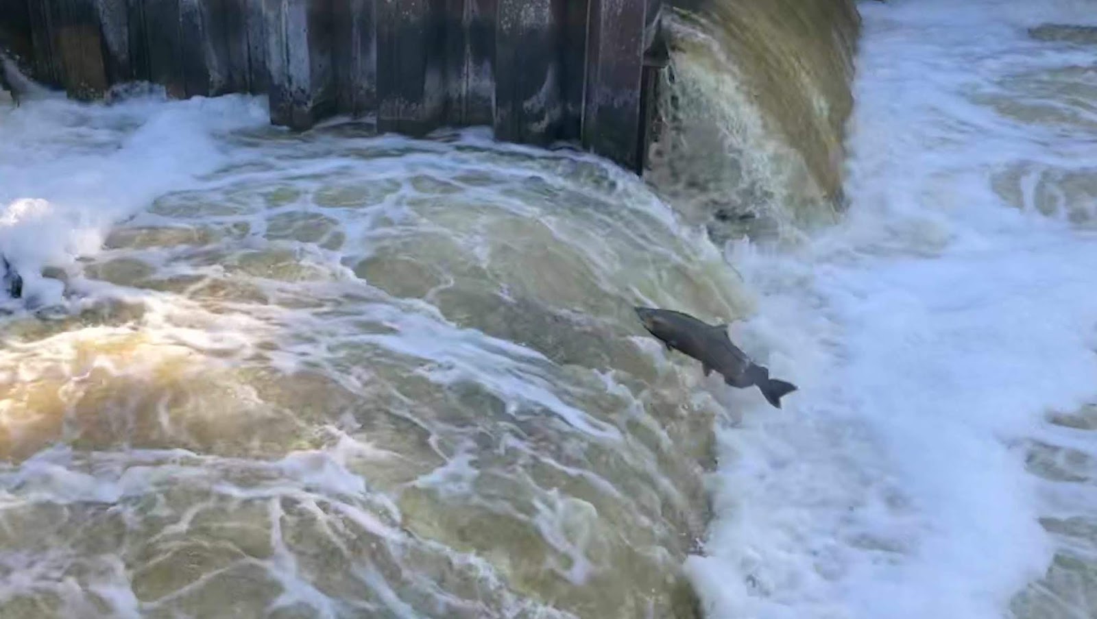 Wandering His Wonders: Exploring all Things Betsie in Michigan