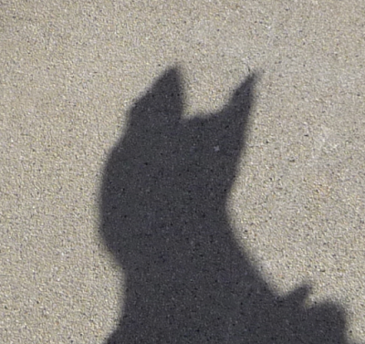 Mrs. Yollis' Classroom Blog: January 2012