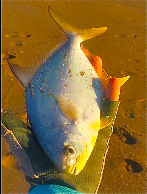 On Foot Angler: From Henry @ Snook-Nook - Jensen Beach