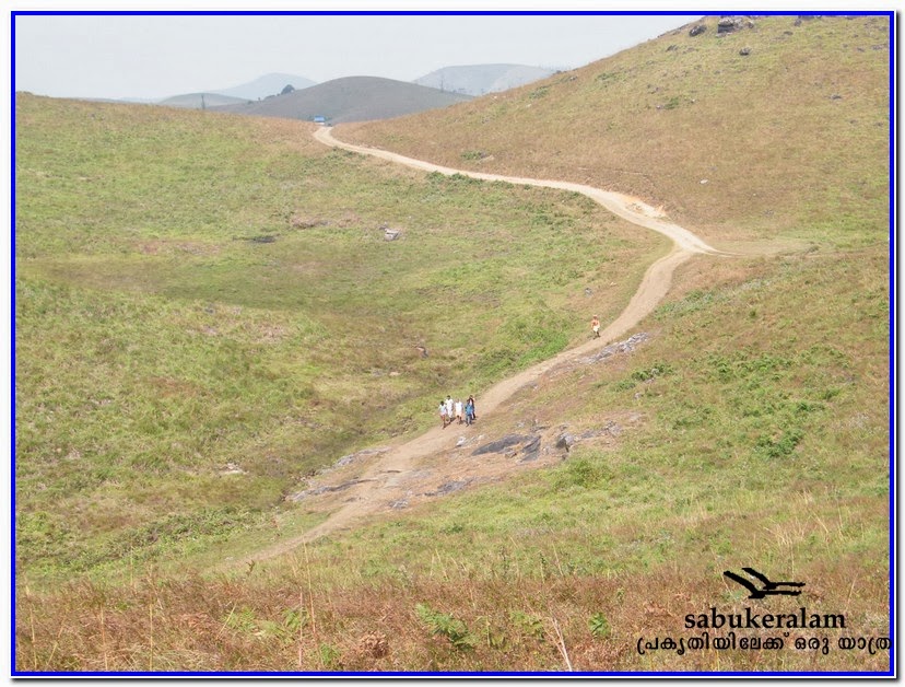 പ്രകൃതിയിലേക്ക് ഒരു യാത്ര (a travel towards NATURE): PULLUMEDU a unique ...