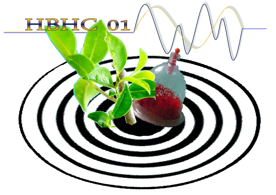 P.L.K. HBHC: Tentang Kami