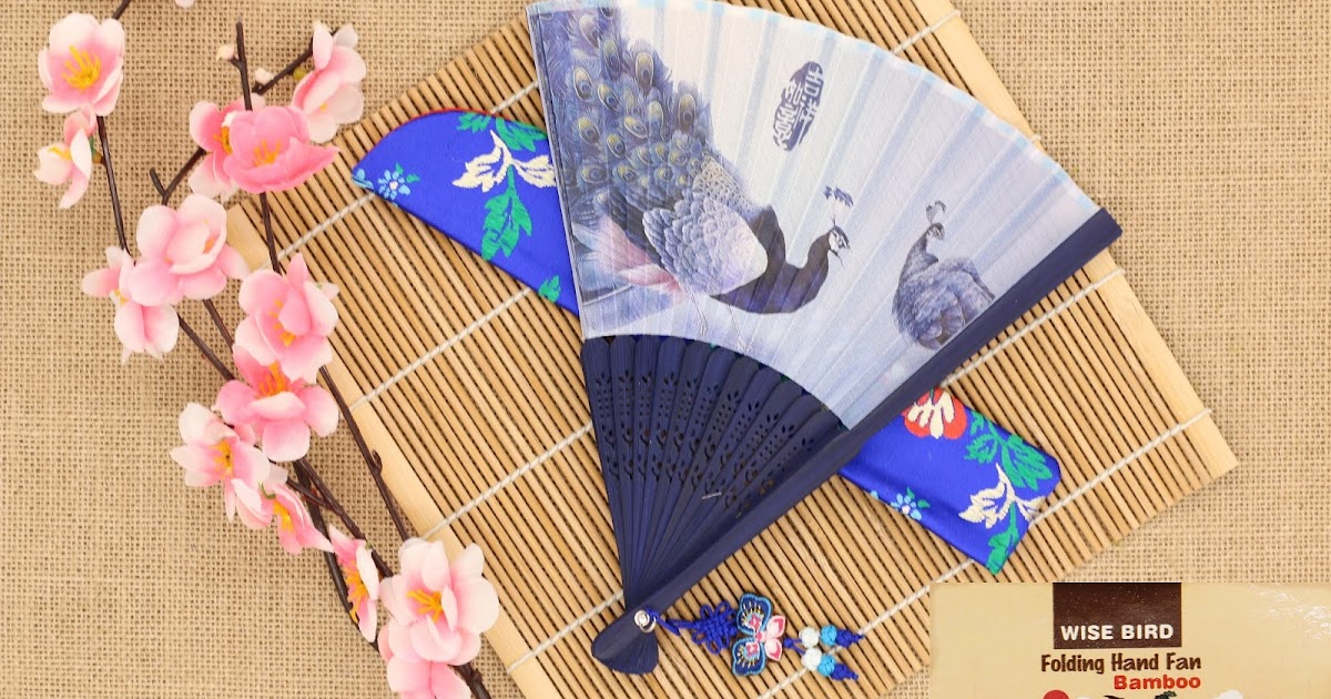 Wise Bird Fan Session 14