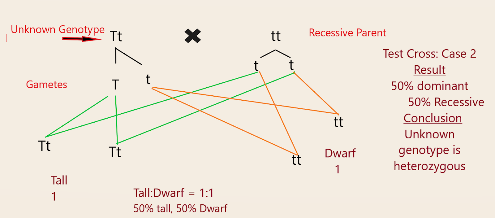 Instant Notes In Biology: Multiple Alleles