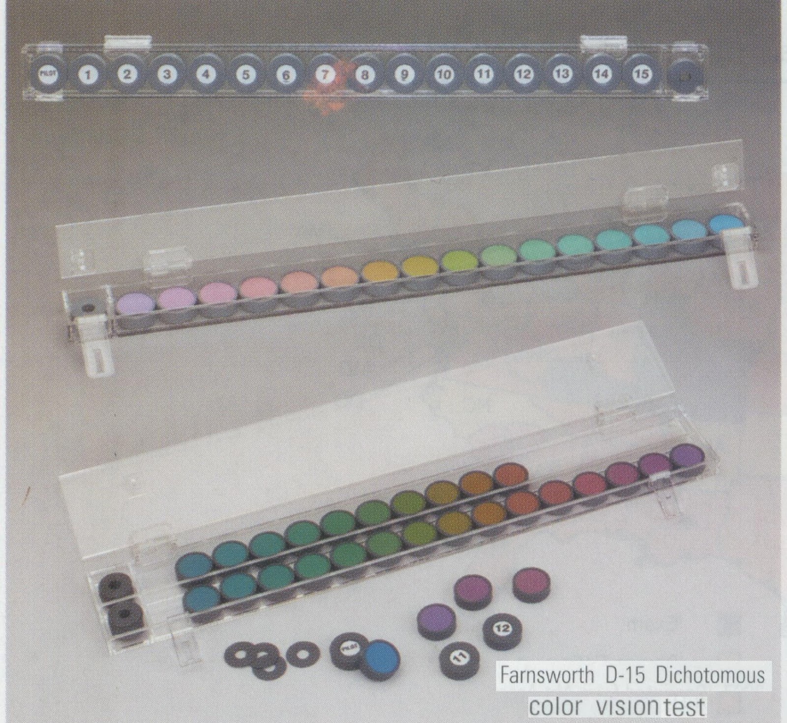 色盲 色弱 (Color Deficiency)