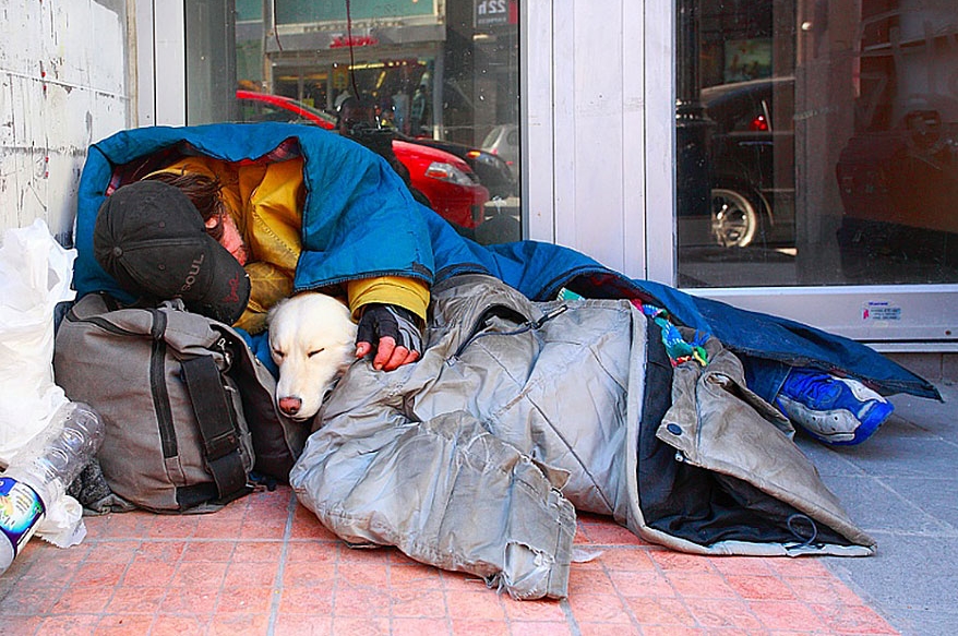 White Wolf : Dog's Love: Beautiful series of pictures showing homeless ...