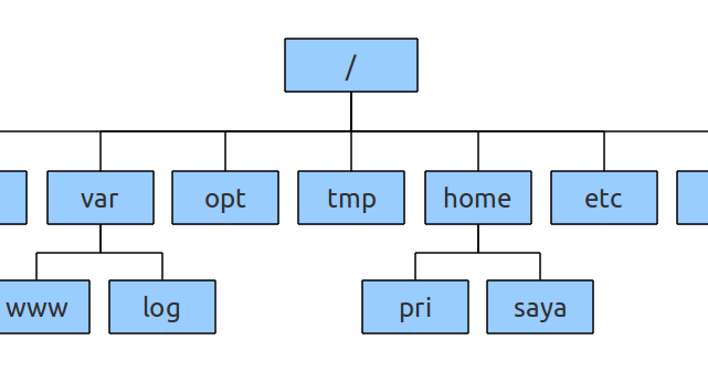 Struktur direktori pada linux dan fungsinya | Belajar Media Masa Depan