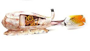 BREA VENENOS: CARACOL CONO