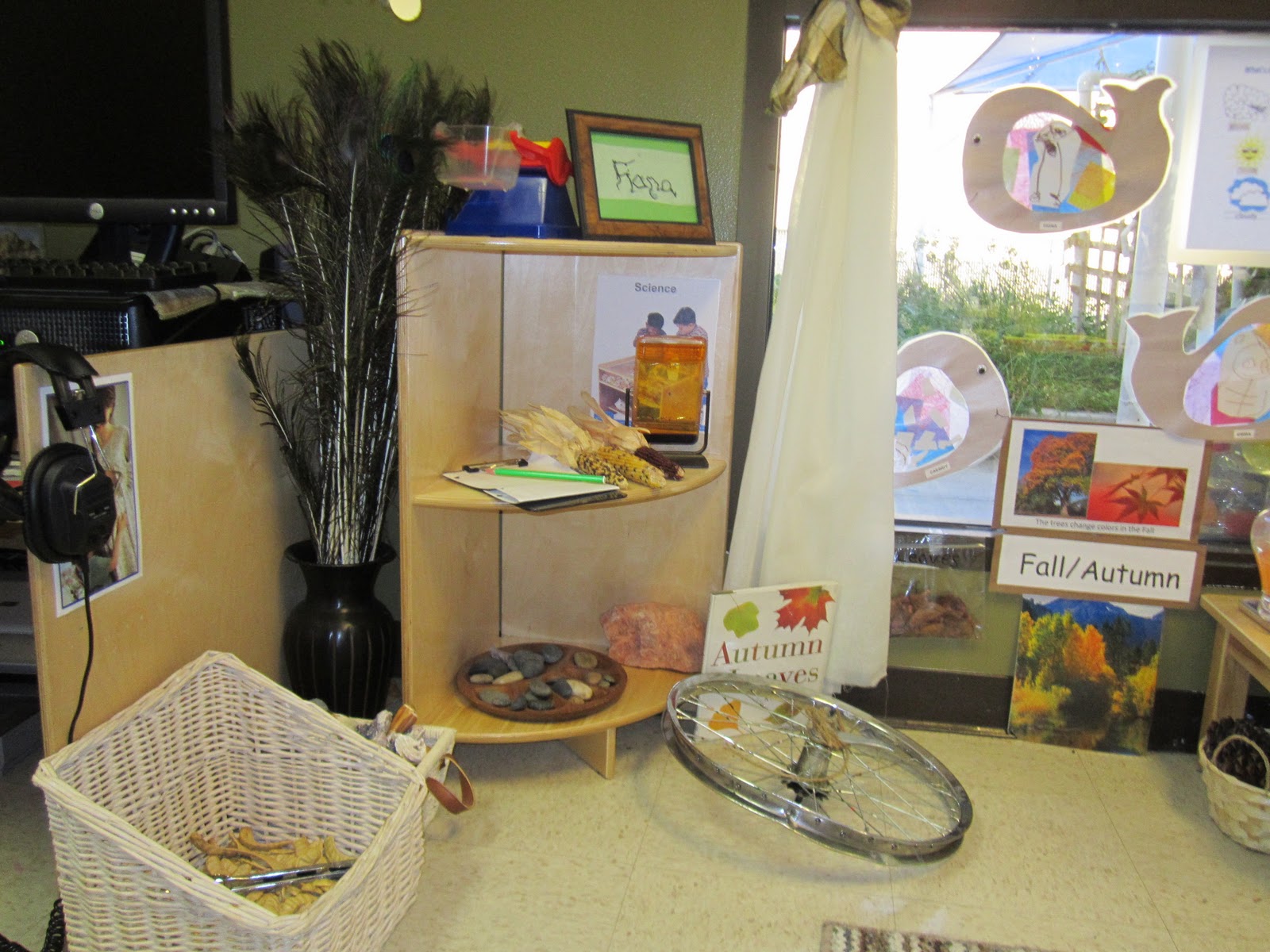 Devoted 2 Discovery: Reggio inspired classroom enviroments (Our class)