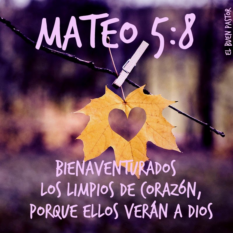 YO SOY EL BUEN PASTOR: Mateo 5:8