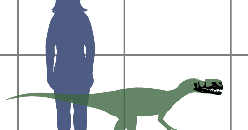 Extinct Animal of the Week: Small Jurassic Carnivores