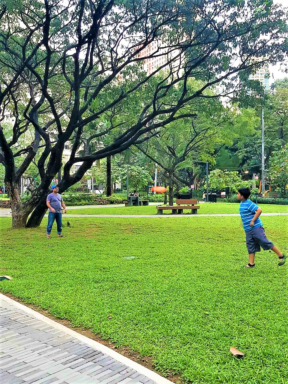 Greener, Fresher Makati: Legaspi Activ Park and Washington Sycip Park ...