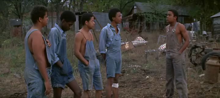 Andy's Film Blog: The Learning Tree