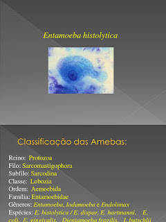 entamoeba coli tratamento - wood scribd braxin