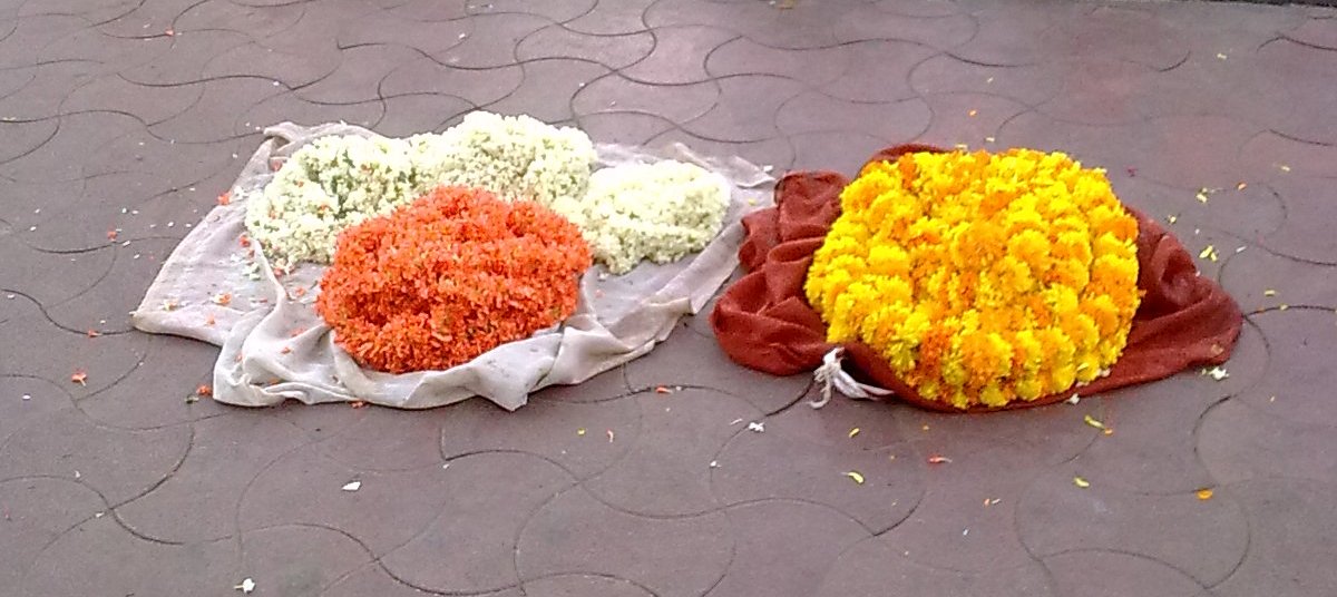 Garden Care Simplified: Crossandra Flower/Aboli Flowers