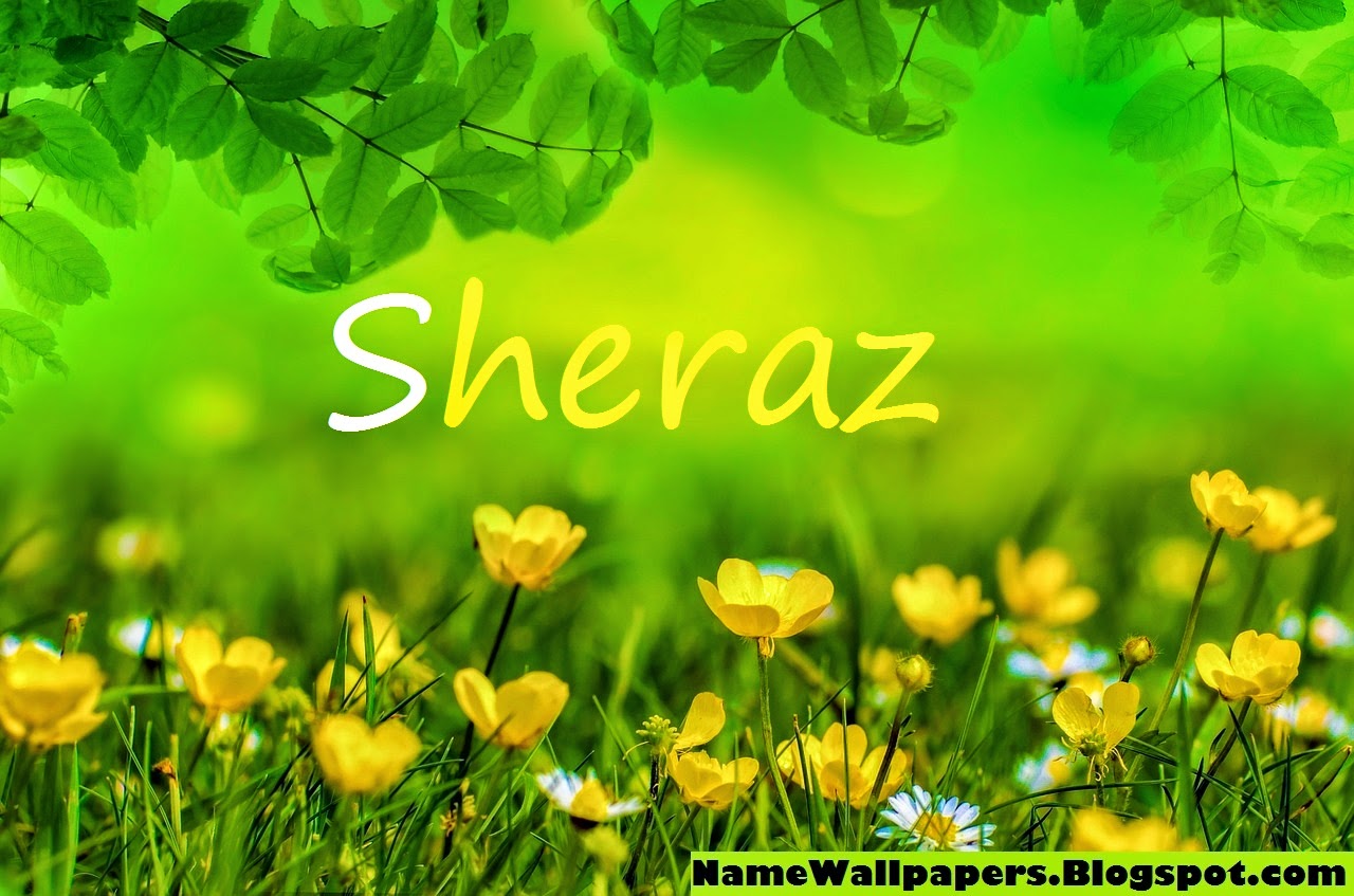 Sheraz Name Wallpapers Sheraz ~ Name Wallpaper Urdu Name Meaning Name ...