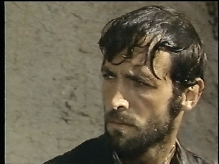 Tube Dreams: Spaghetti and Beefcake