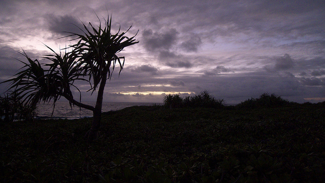 Yesterday, Tomorrow and Fantasy: The Story of Rongo