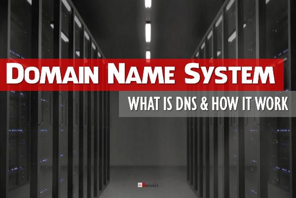 Domain Name System: What Is DNS and How It Work (Know Internet Basics)