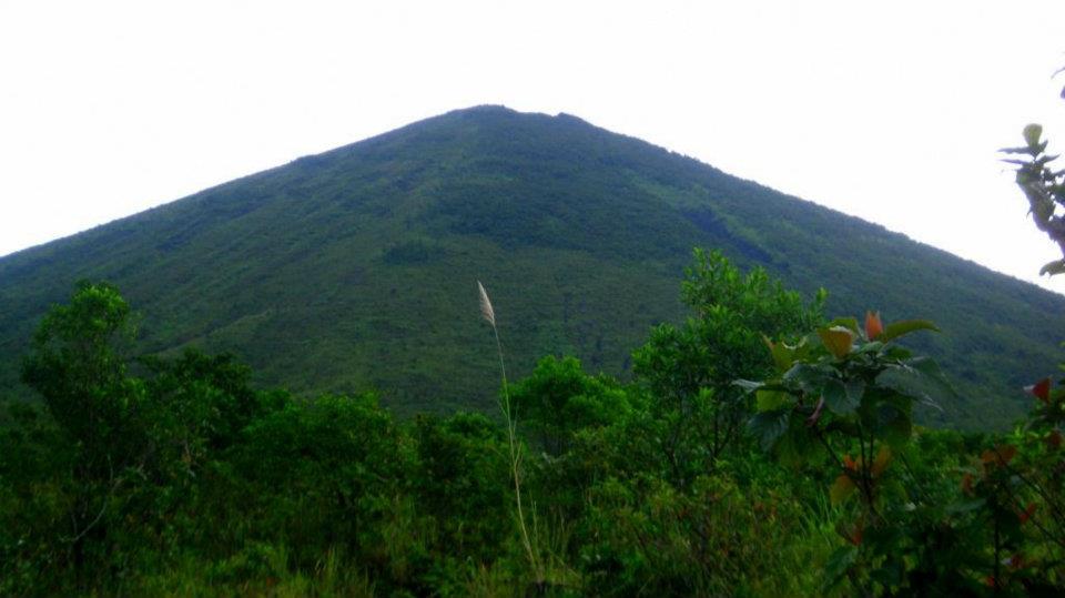 GUNUNG LAMONGAN | THE BACKPACKER MANIA